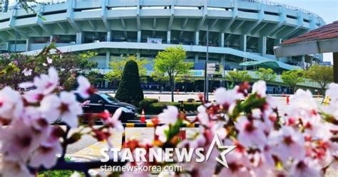 벌써 200만 돌파 Kbo 리그 인기 폭발 역대급 페이스다→꿈의 천만 관중 시대 여나