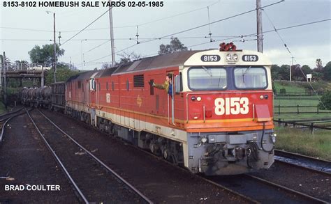 Australian Locomotive Rosters New South Wales 81 Class