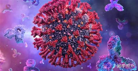 传染性疾病四项多久排除 知乎