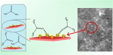 Mxene Nanosheets Functionalized With Cu Atoms For Urea Adsorption In