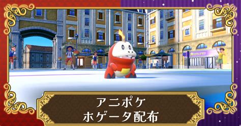 【ポケモンsv】7 26のアニポケの放送でロイのホゲータが配布｜ふしぎなおくりもの【スカーレット・バイオレット】 攻略大百科