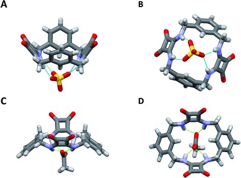 A The Dominant Binding Mode Of The Complex Formed Between 1 And So4²