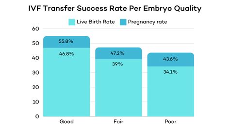 Everything You Need To Know About The IVF Funnel