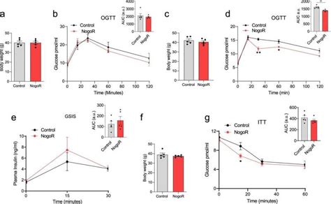 Biomarkers For The Progression Of Type 2 Diabetes Identified