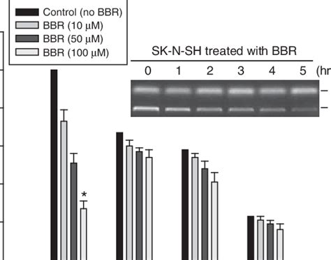 The Effect Of Berberine Bbr On The Death Domain Associated Protein