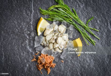 다크 플레이트와 얼음에 담긴 신선한 굴 해산물 레스토랑에서 채소 레몬과 허브를 곁들인 굴 샐러드 건강한 식생활에 대한 스톡 사진 및 기타 이미지 Istock