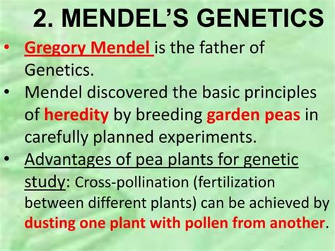 Life Sciences Genetics Ppt