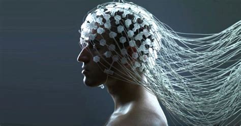 ¿qué Busca Elon Musk Implantando Chips En Cerebros Humanos Crónica Viva