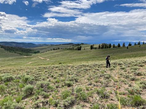 Publication Proves Value Of Western Colorado University Grads Research