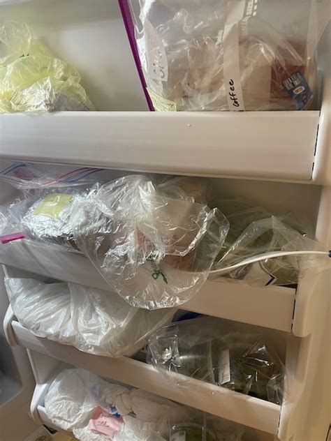 One Way To Clean A Freezer Lynn Benjamins Pocket Poems