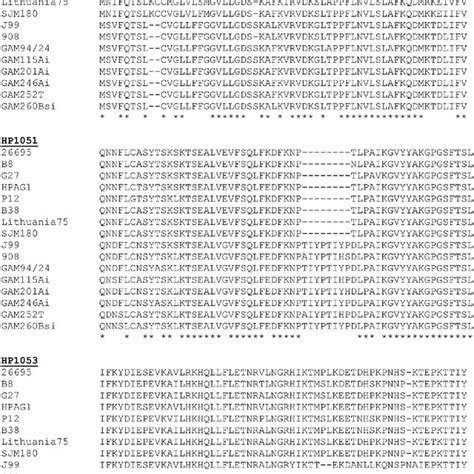 Sequence Alignments Of Three Proteins Exhibiting High Levels Of Download Scientific Diagram