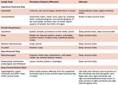8 Systemic Anatomy Of The Head And Neck Pocket Dentistry