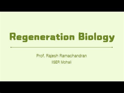 Free Video Planaria Regeneration Neoblasts And Organ Formation And Species Type And