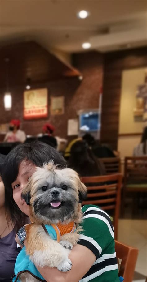 Piccolo Coffee Co Lets Talk Food We Can Do Coffee And Think Were Pretty Good At It But We