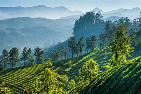 Kerala 5 Nights 6 Days Tour