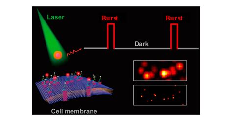 High Density Super Resolution Localization Imaging With Blinking Carbon