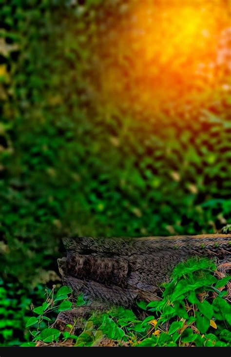 Picsart Editing Background HD Phone Wallpaper Pxfuel