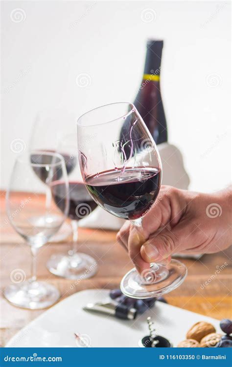 Professional Red Wine Tasting Event With High Quality Wine Glass Stock