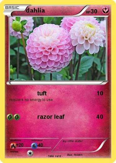 Pokemon Dahlia Pokemon Dahlia