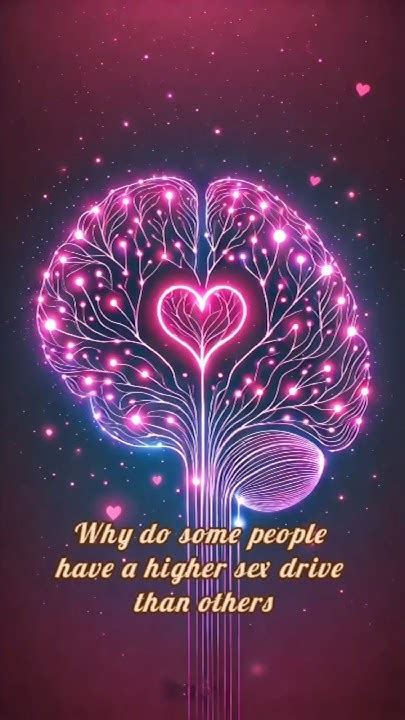 Why Do Some People Have A Higher Sex Drive Than Others Rtmz8 Love Hormones Sexdrive