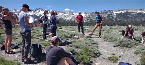 Environmental Planning Process Whitebark Institute