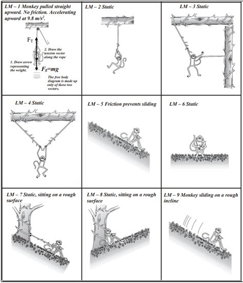 Solved Free Body Homework Linear Motion In Each Case The