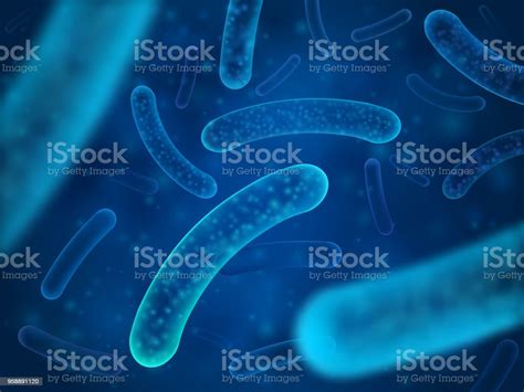 마이크로 박테리아 그리고 치료 박테리아 유기 체입니다 미세한 살 모 넬 라 균 또는 Acidophilus 유기 체 벡터 배경