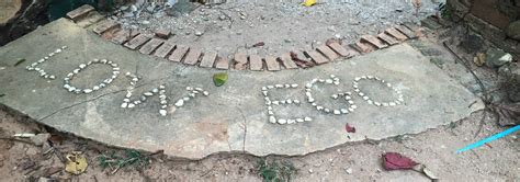 Compassionate Steps — Thefreundslife