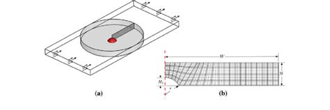 Representation Of The Numerical Domain Within The Microchannel A An