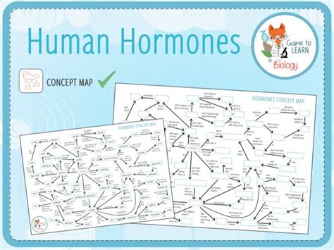 Human Hormones Concept Map Ks4 Teaching Resources