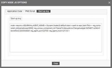 Installing Eg Nodejs Btm On A Nodejs Application