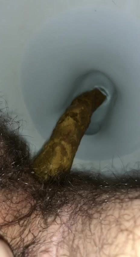 Laying A Long Log