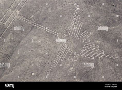 Vue aérienne de géoglyphes près de Nazca fameuses Lignes de Nazca au