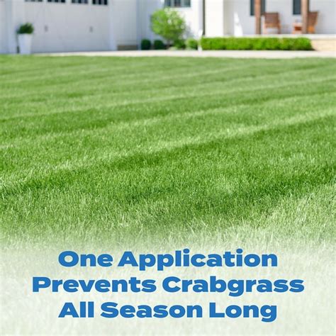 Scotts Halts Crabgrass And Grassy Weed Preventer 10 Lbs 5000 Sq Ft Pre