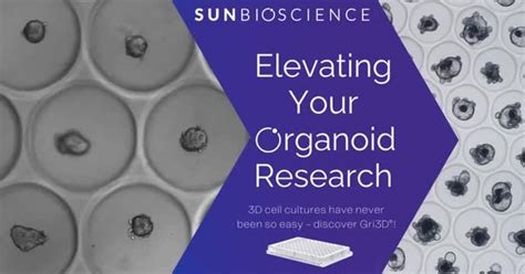 Sun Bioscience On Linkedin Efficiency Precision Gri3d Features