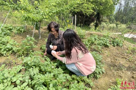 【华声在线】南昌大学“藻肥万稼”实践队赴衡阳助力春耕 南昌大学新闻网欢迎您！
