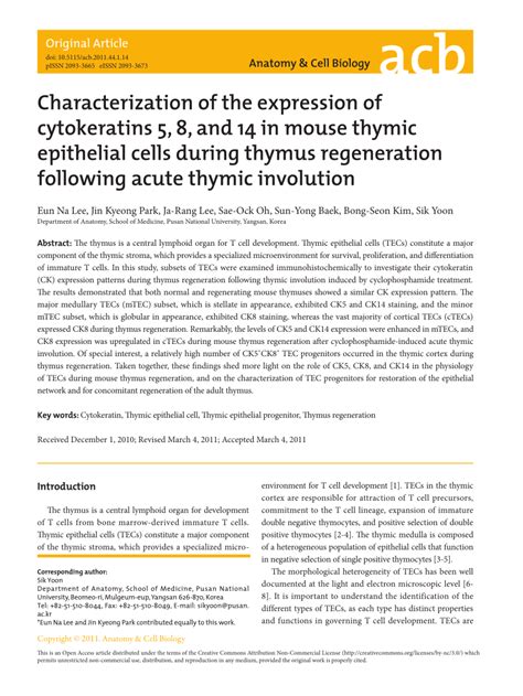 Pdf Characterization Of The Expression Of Cytokeratins 5 8 And 14