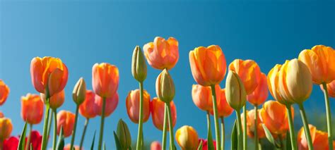 Springing Into Safety Essential Commercial Insurance Tips For The New