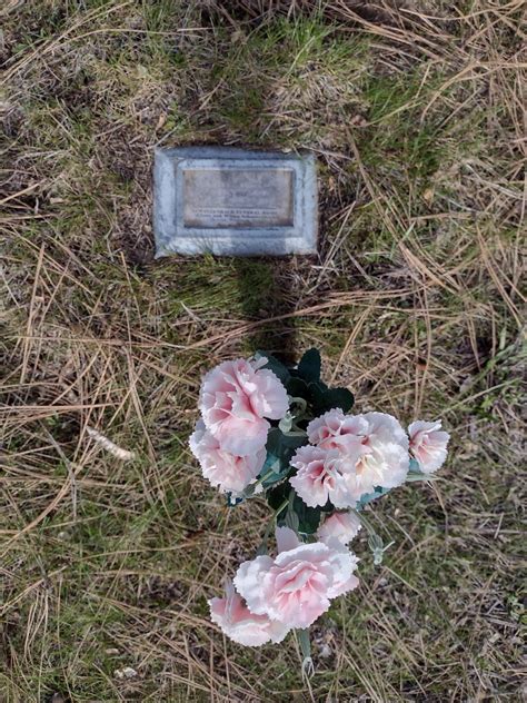 Tamara Lynn Adams Lyman 1957 1987 Find A Grave Memorial