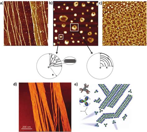 Fiber Forming Molecules Giving Different Supra Aggregates By
