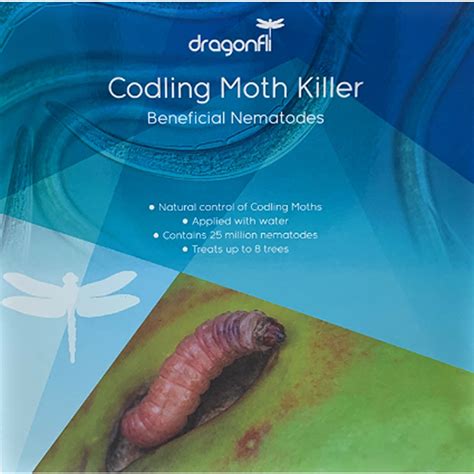 Codling Moth Killer Naturally Kill Codling Moth And Protect Apple Trees Dragonfli