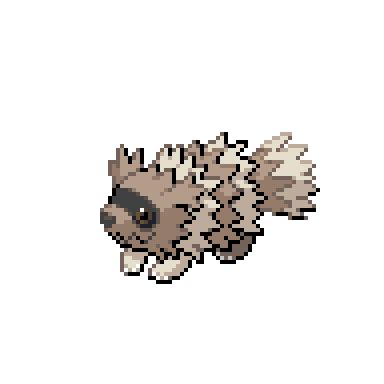 Zigzagoon Pokémon Shattered Light