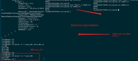 Docker容器数据卷rancher挂载数据卷 Csdn博客 Docker容器数据卷rancher挂载数据卷 Csdn博客