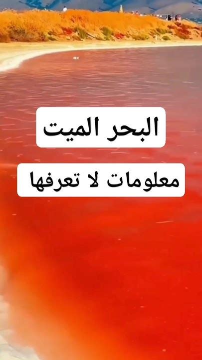 البحر الميت أملاح وعلاج وجمال Youtube