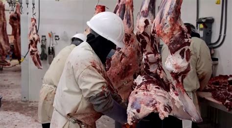 Usda Announces New Round Of Funds To Expand Meat Processing Northern