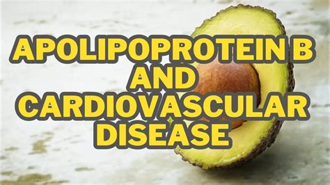 Apolipoprotein B And Cardiovascular Disease