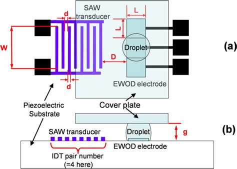 Integrated Microfluidics System Using Surface Acoustic Wave And
