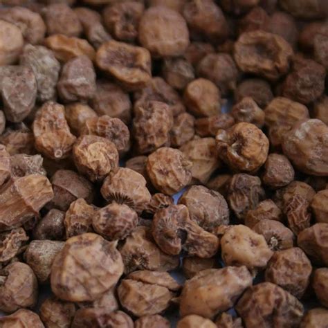Tiger Nut Seed Seed World