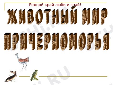 📈 Презентация №13 по теме “Презентация к уроку по теме Животный мир Сочинского причерноморья