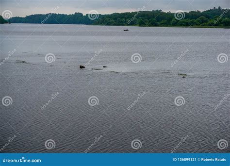 Landscape Of River Daugava In Latvia Stock Image Image Of Panorama